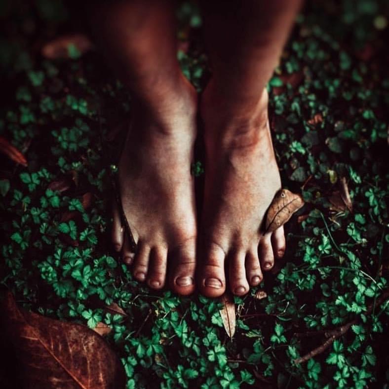 Carbon Foot Lab | Health & Beauty in Firestone, CO