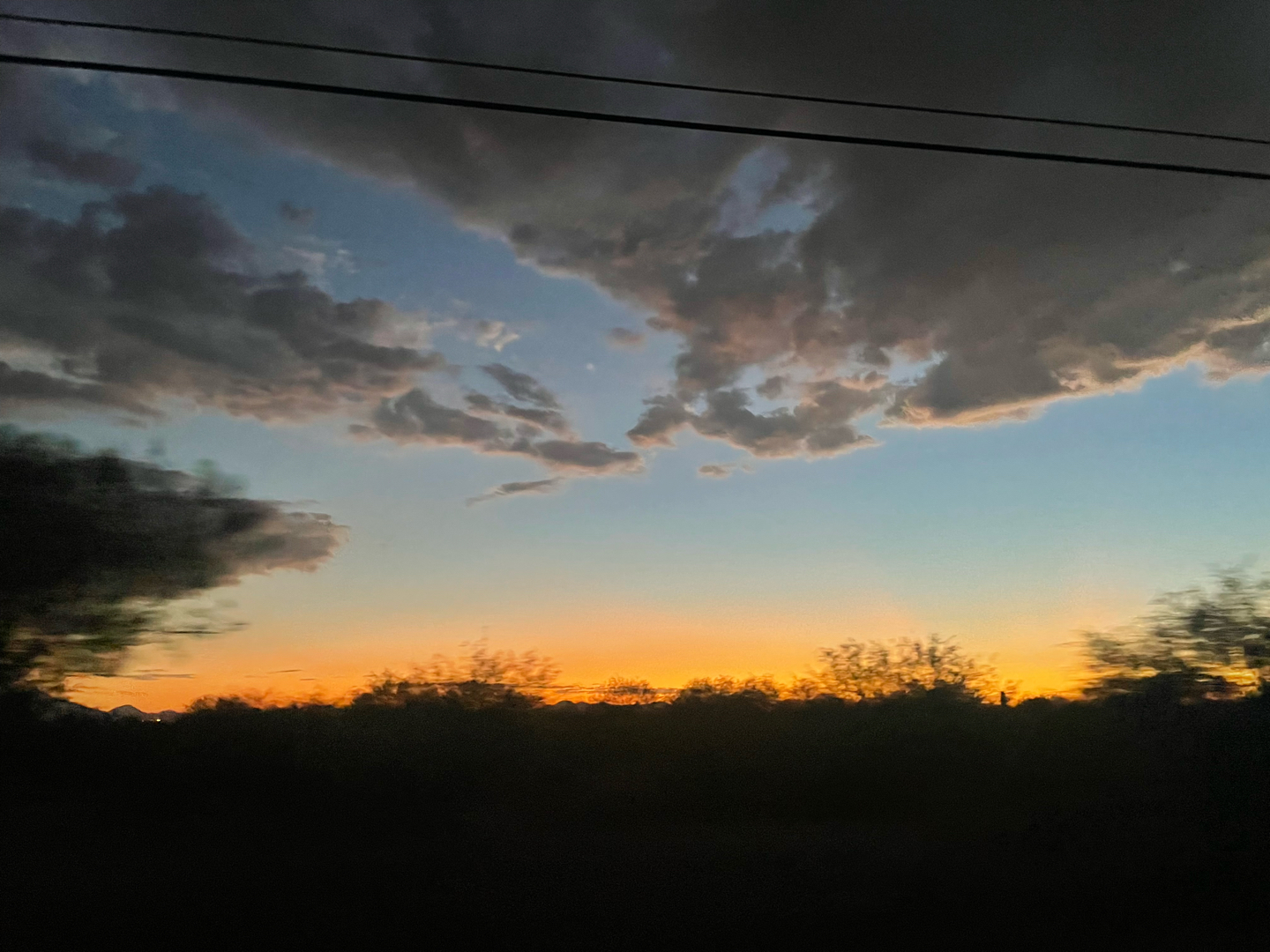 Rohi Nails & Spa LLC.