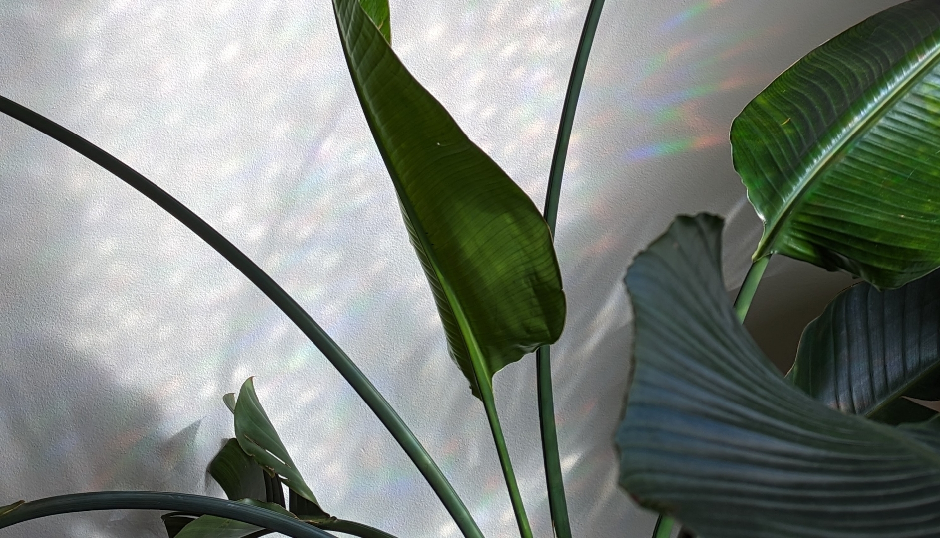 Oasis Skin Studio | Esthetician in Huntington Woods, MI
