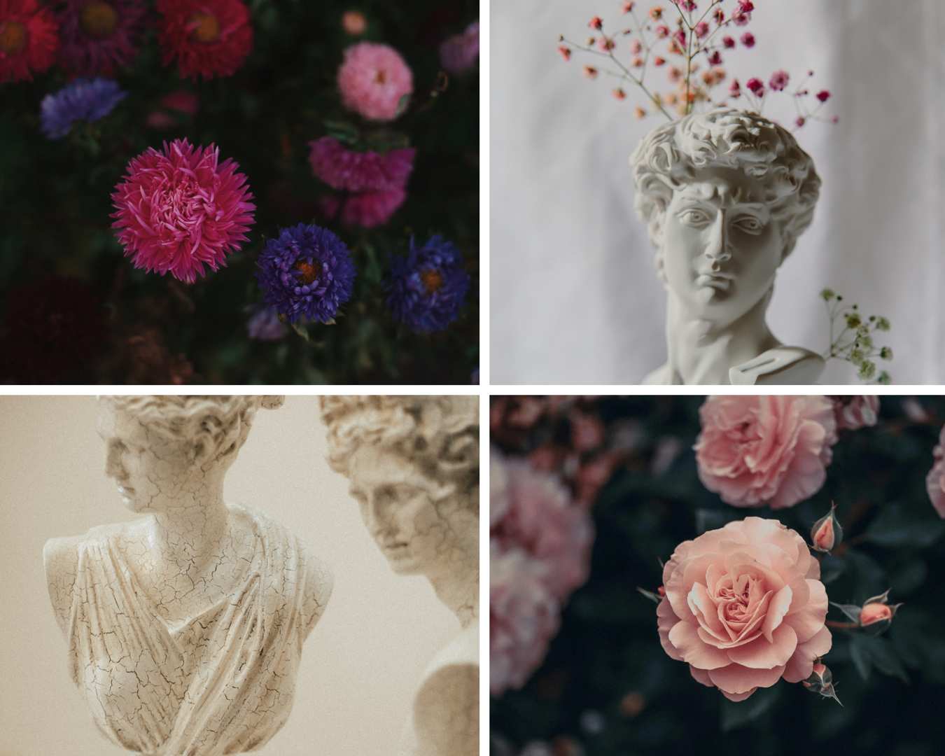 Bloom Med-Aesthetics Studio | Med Spa in Gaithersburg, MD