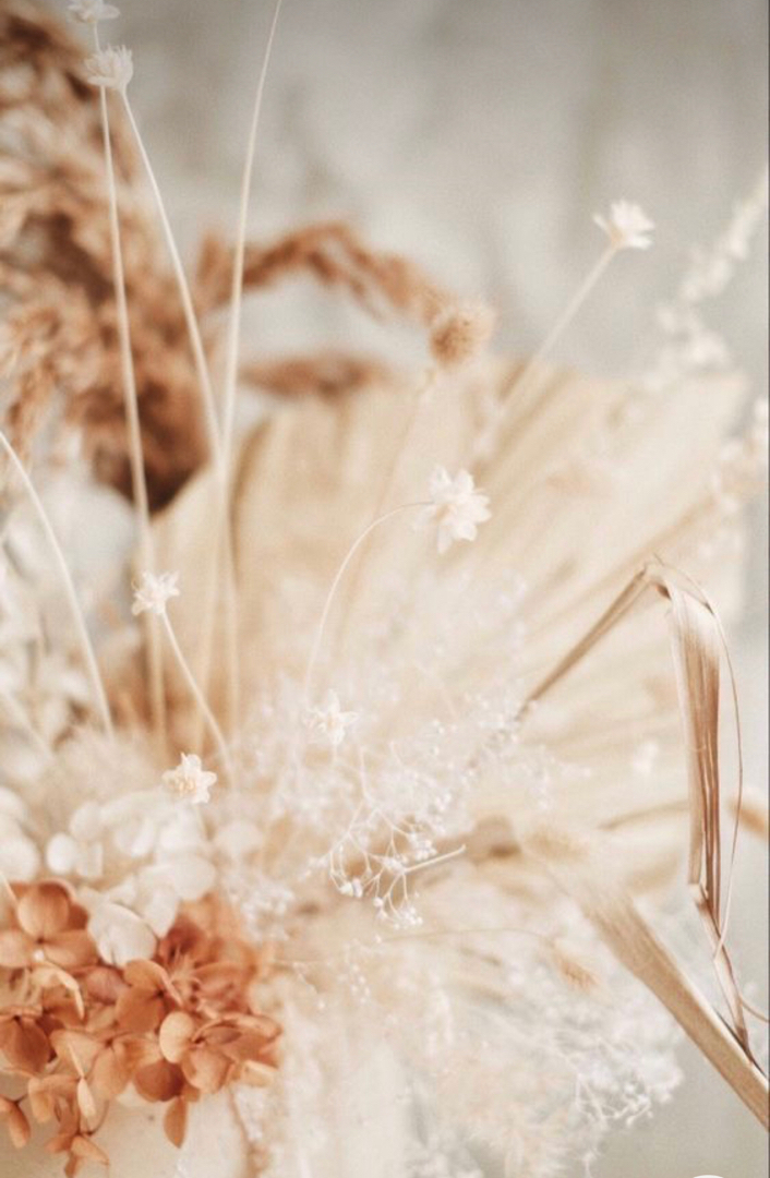 Hair by Amy Whisler | Health & Beauty in Springfield, OH