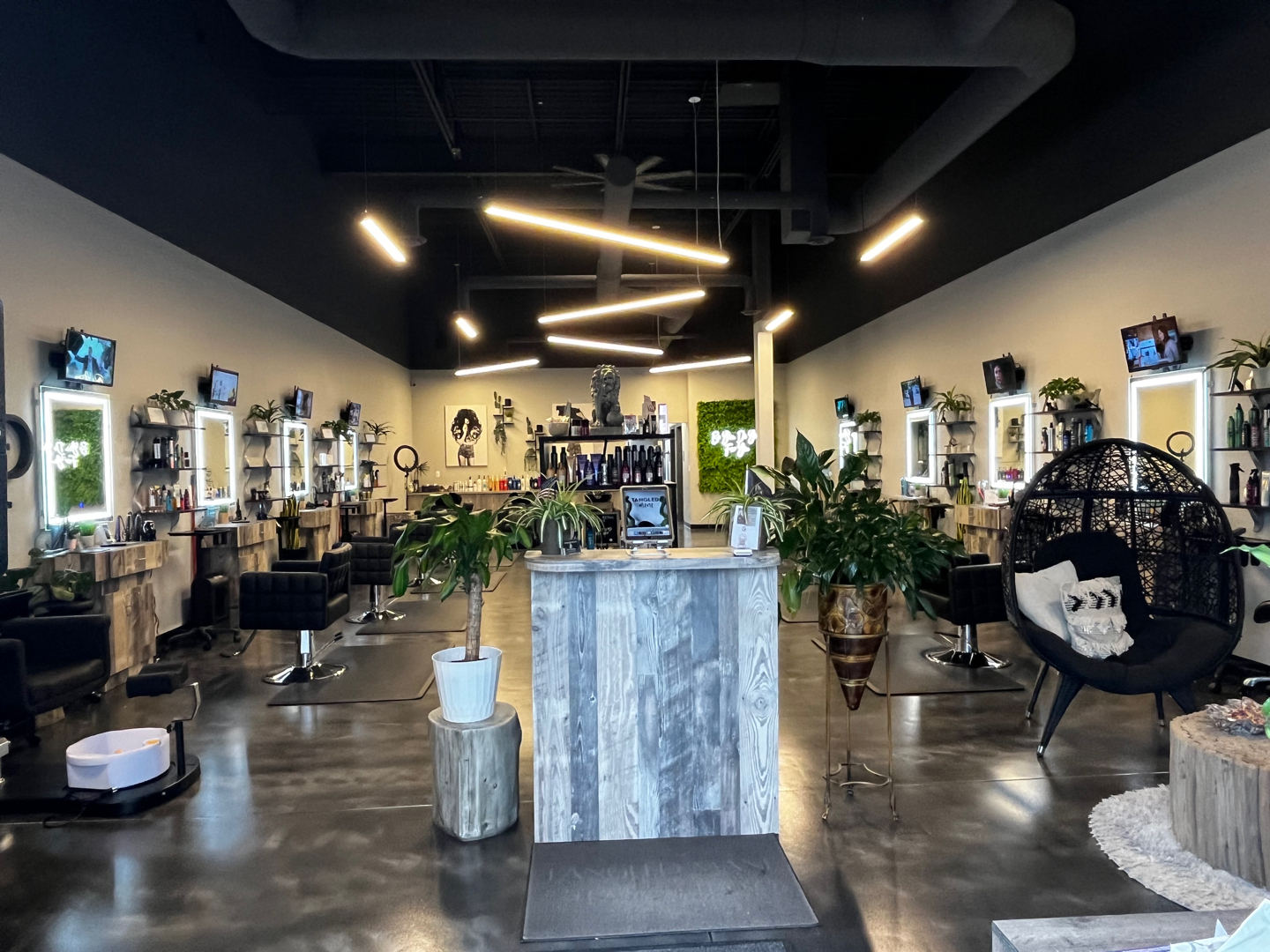 Tangled Mane Hair Studio