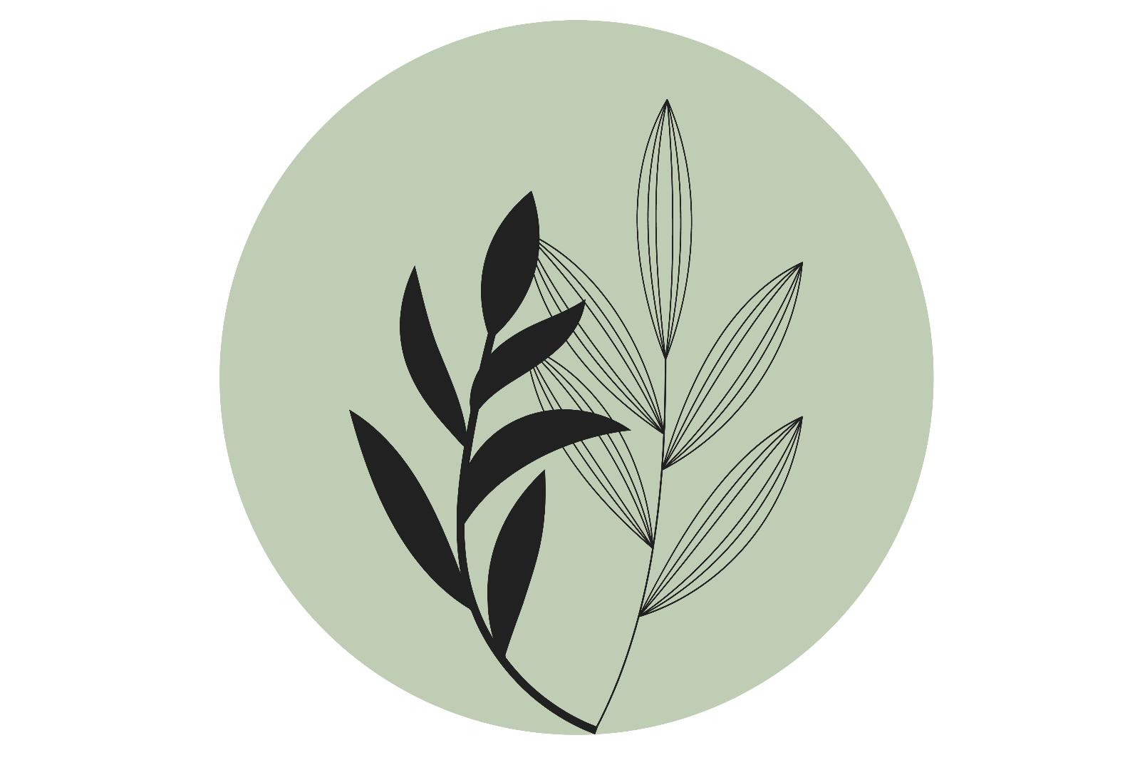 Evergreen Organic Studio